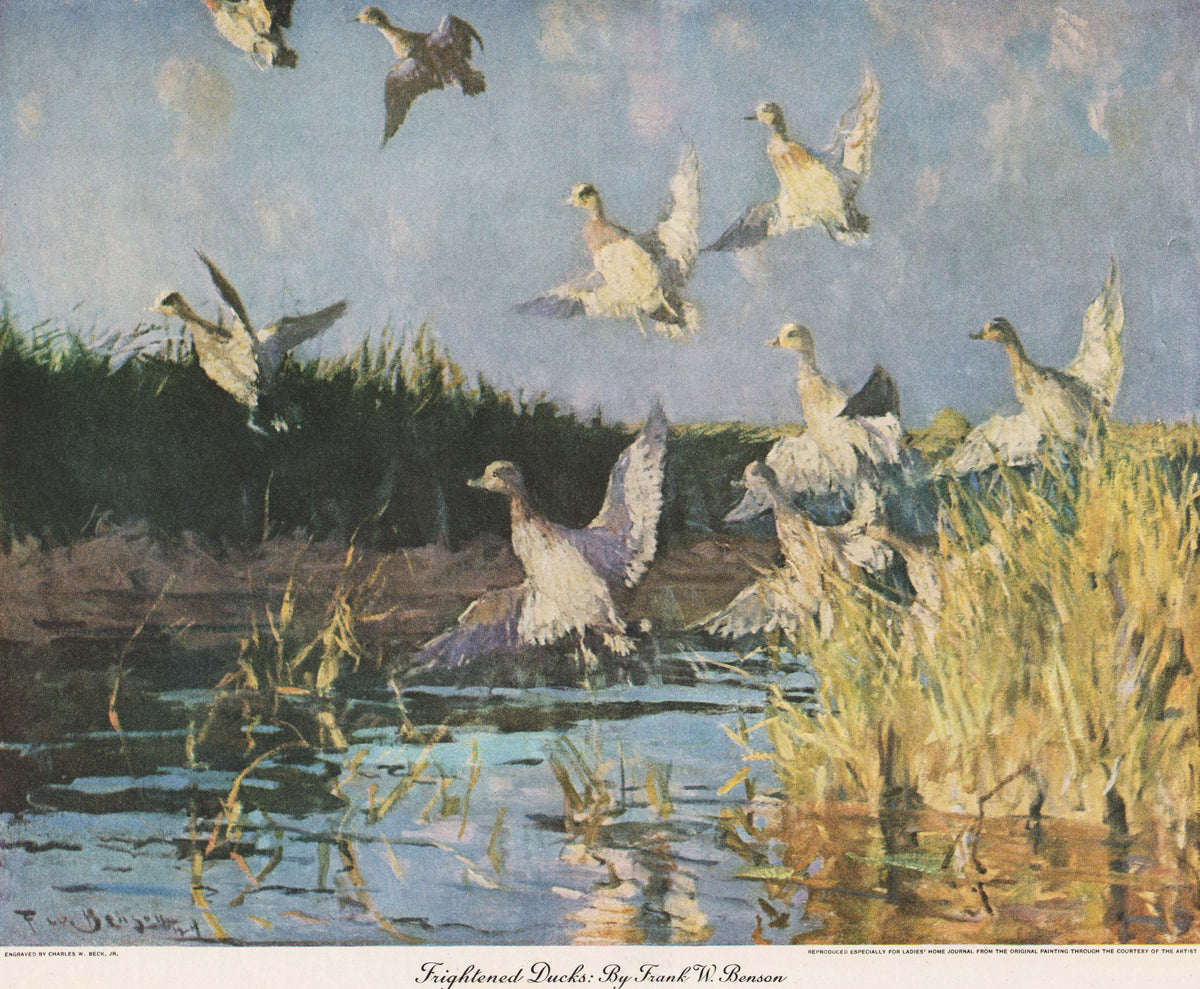 Vintage magazine ad FRIGHTENED DUCKS artwork by Frank W Benson from 19 ...